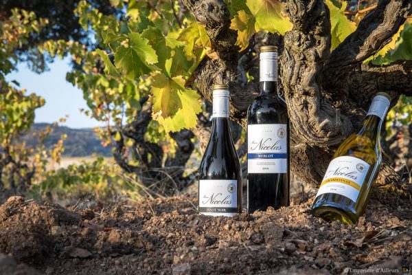 Bouteilles de vin dans les vignes,Packshot produit - Empreinte d'Ailleurs